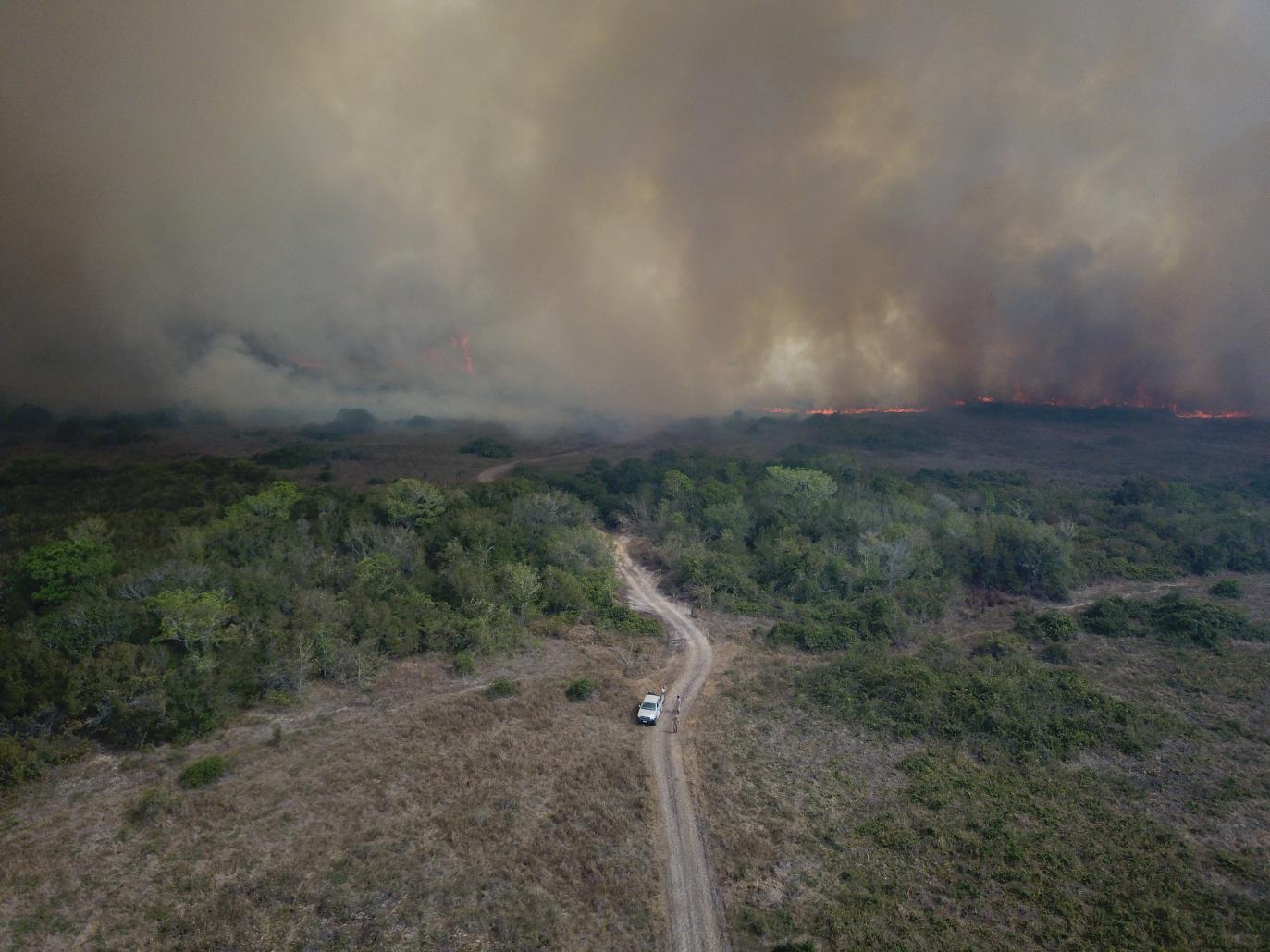 Fighting Fires in the Brazilian Pantanal | Panthera