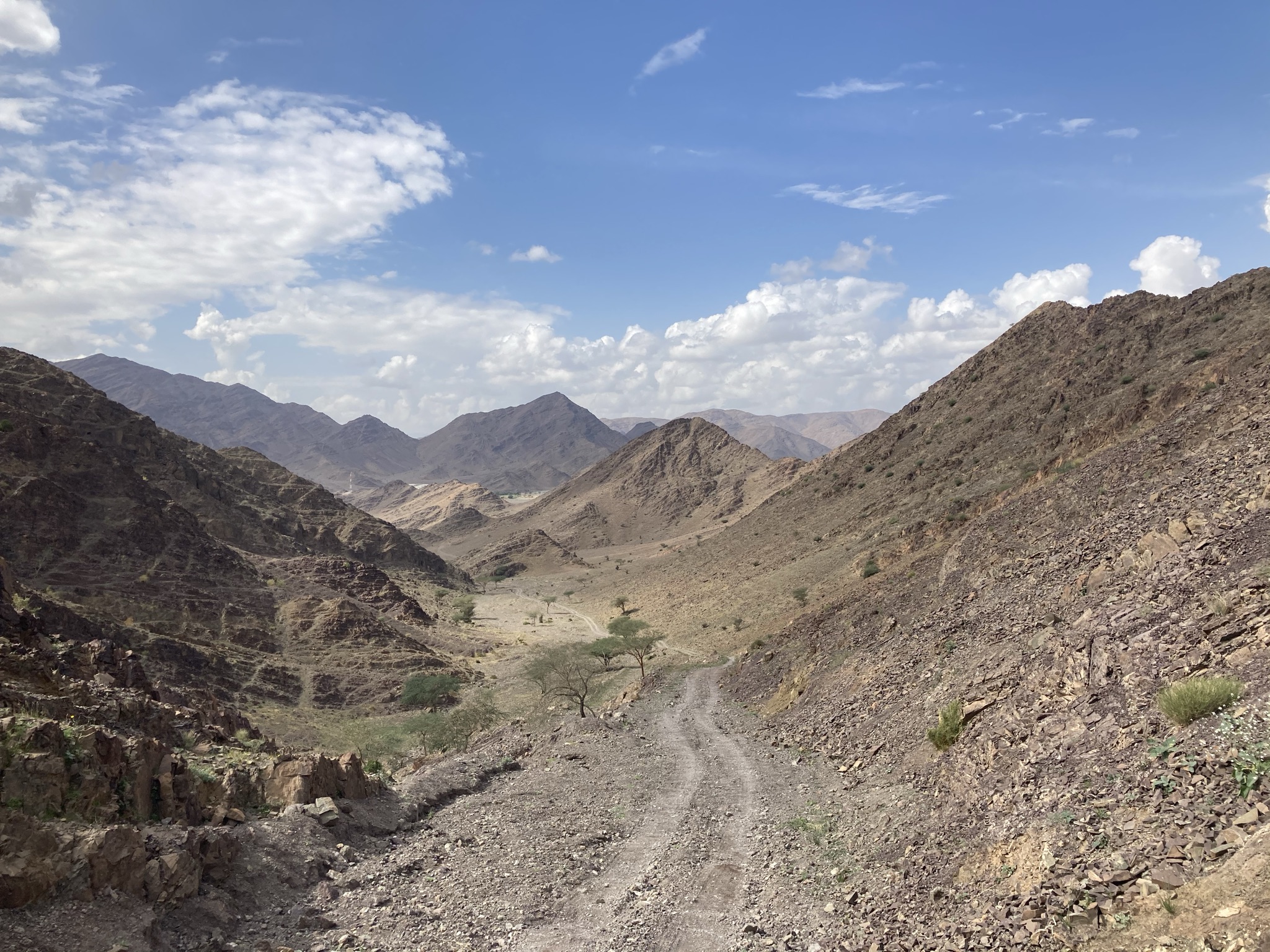 Saudi Arabia Wilderness: Bringing Nature Back into Balance | Panthera