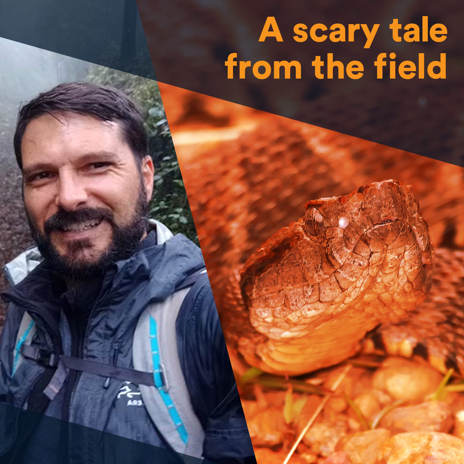 Terrifying Tales from the Field: Snakes in Costa Rica | Panthera Terrifying Tales from the Field: Snakes in Costa Rica | Panthera