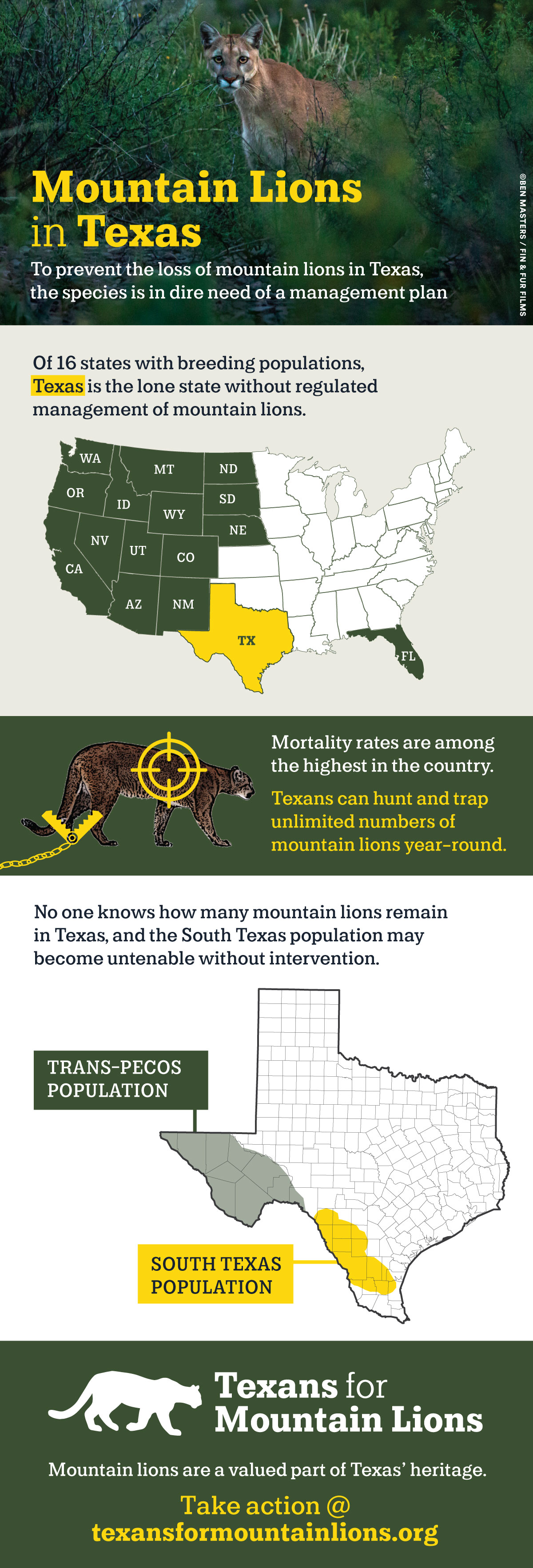 Petition Filed with TPWD Urging Action on Mountain Lion Conservation in ...